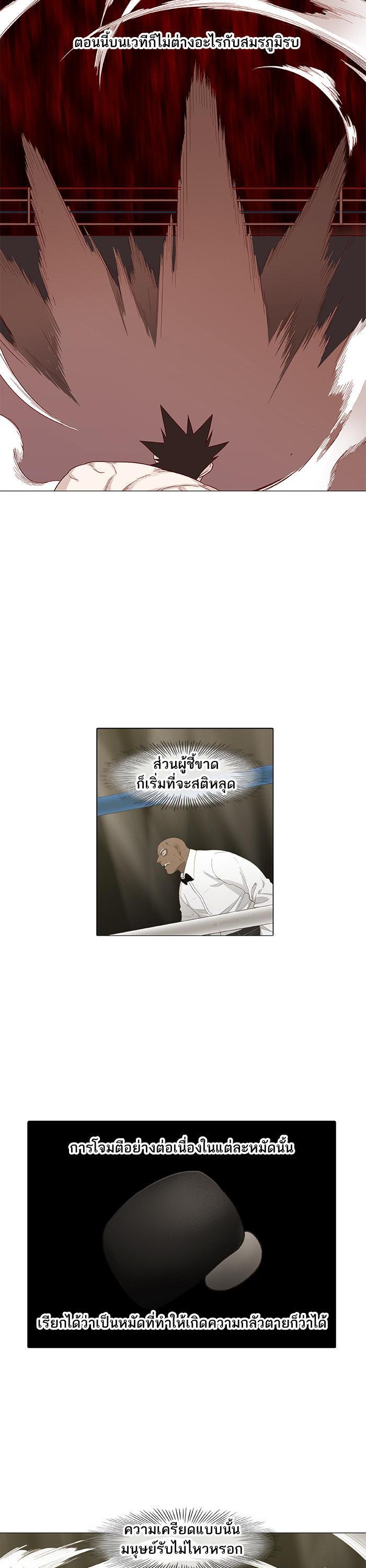 The Boxer 88 แปลไทย - Manga-Lc - อ่านมังงะ อ่านการ์ตูน แปลไทย