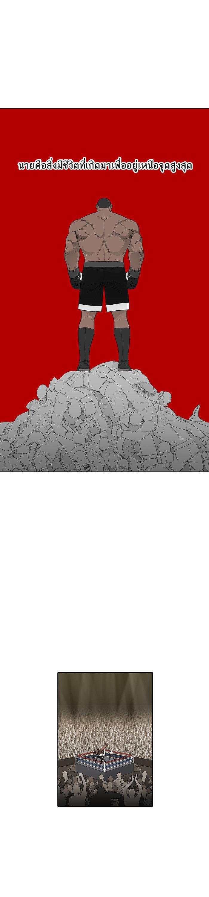 The Boxer 88 แปลไทย - Manga-Lc - อ่านมังงะ อ่านการ์ตูน แปลไทย