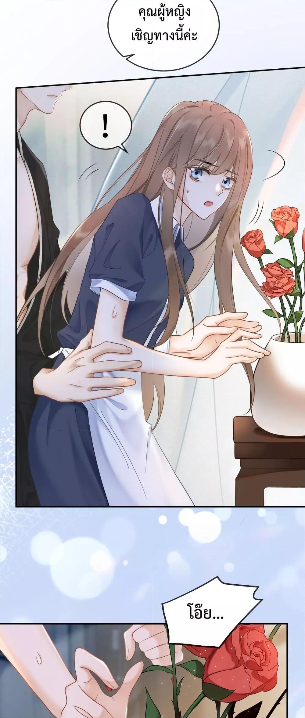 Billionaire CEO’S Substitute Wife – ภรรยาตัวแทน ท่านซีอีโอพันล้าน 3 แปล ...